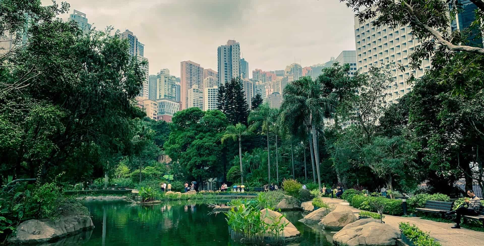 How to grow an urban forest