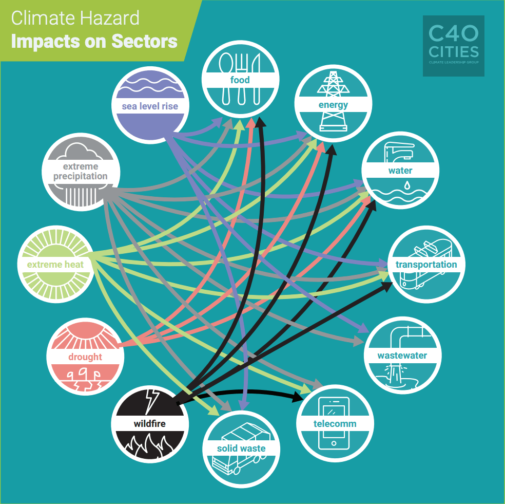 C40 Infrastructure Interdependencies and Climate Risks report