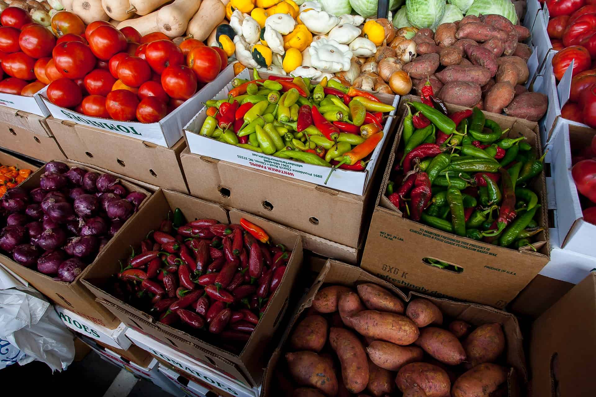 Tackling food waste in cities: A policy and program toolkit