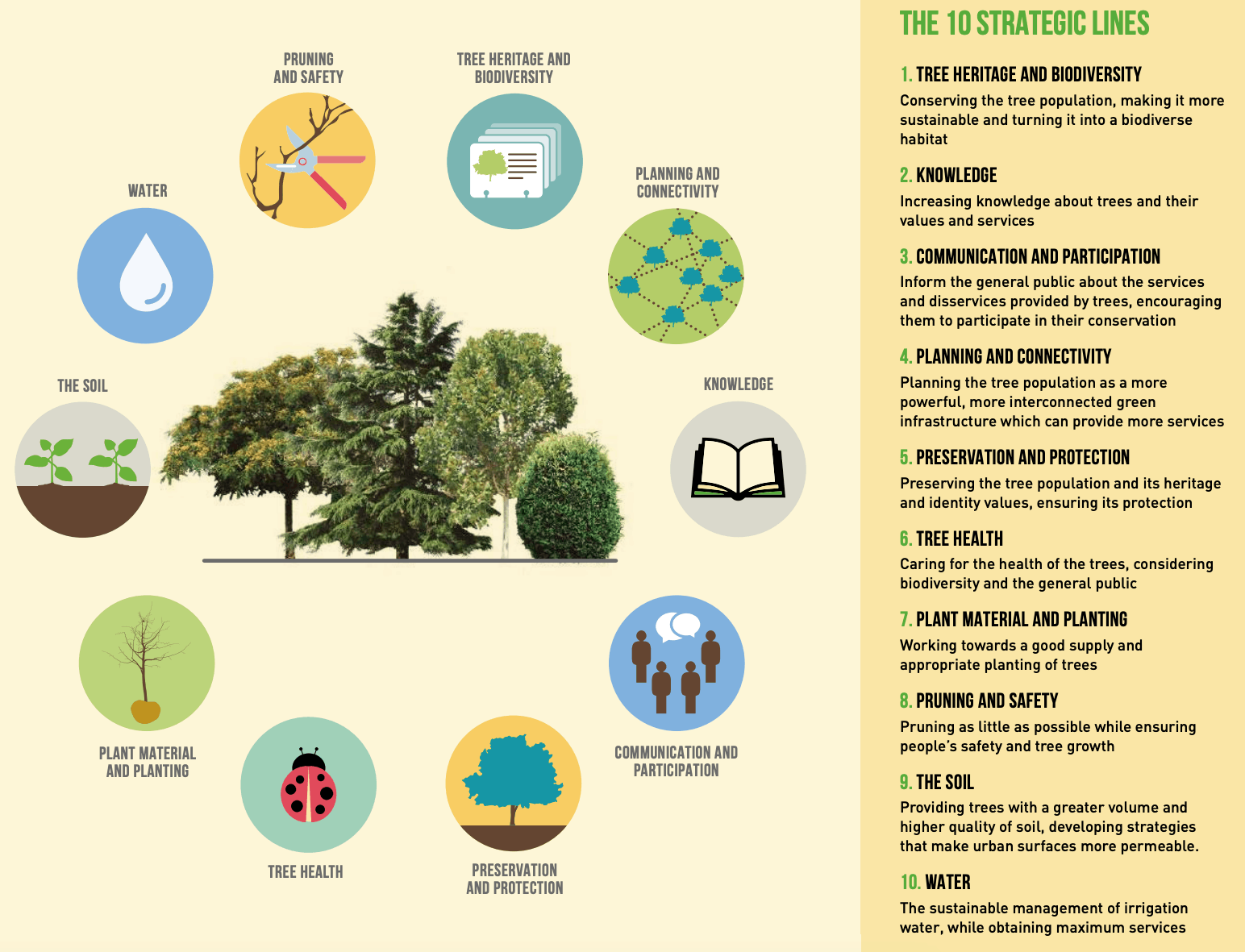 Trees for Life: Master Plan for Barcelona’s Trees 2017 - 2037