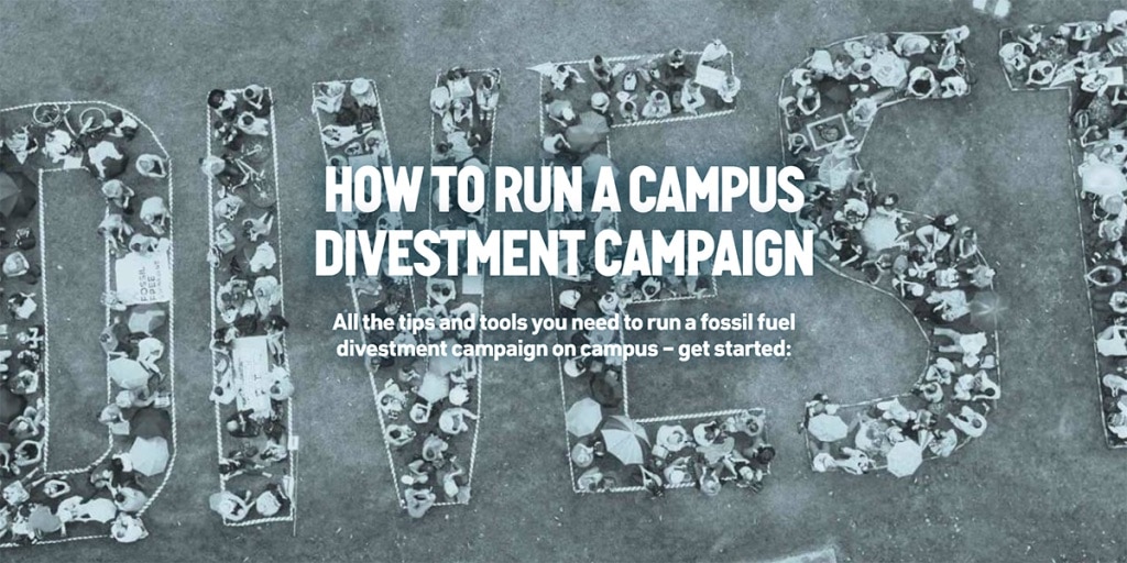 Your local divestment campaign groups are a valuable asset. Work with them.