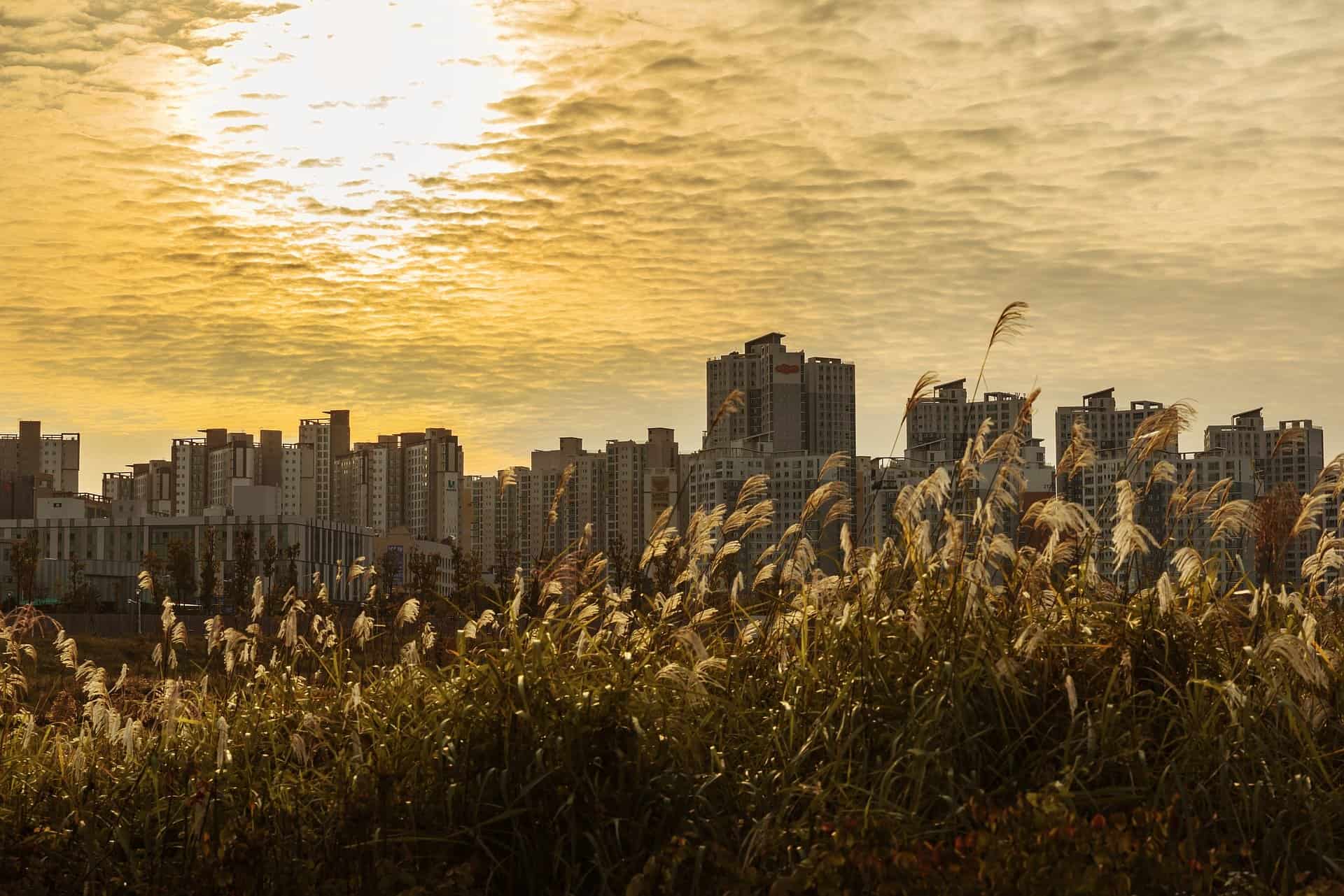 City Climate Data Management Framework and Self-Assessment Questionnaire