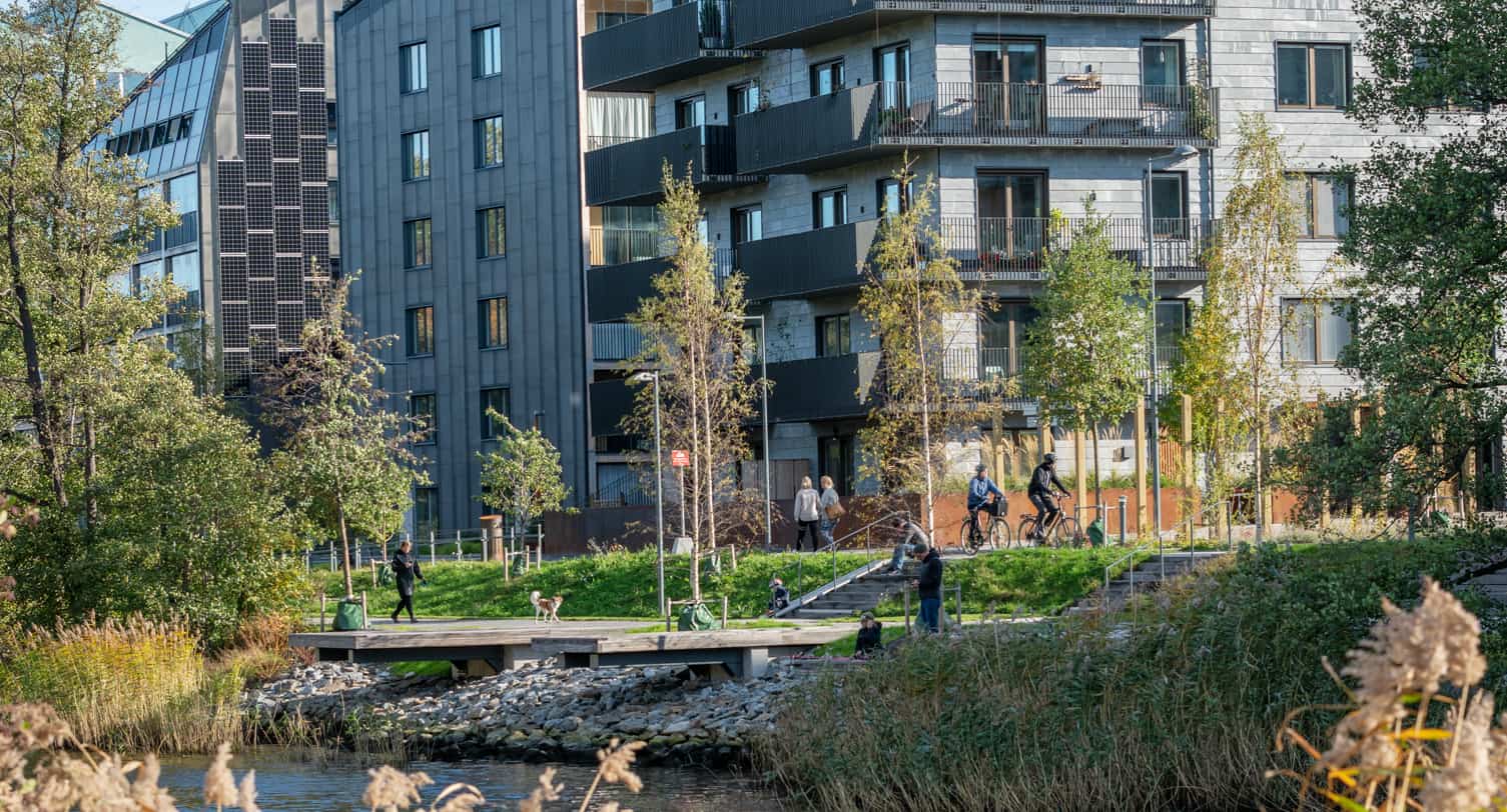 Green and Thriving Neighbourhoods: A pathway to net zero, featuring the ...