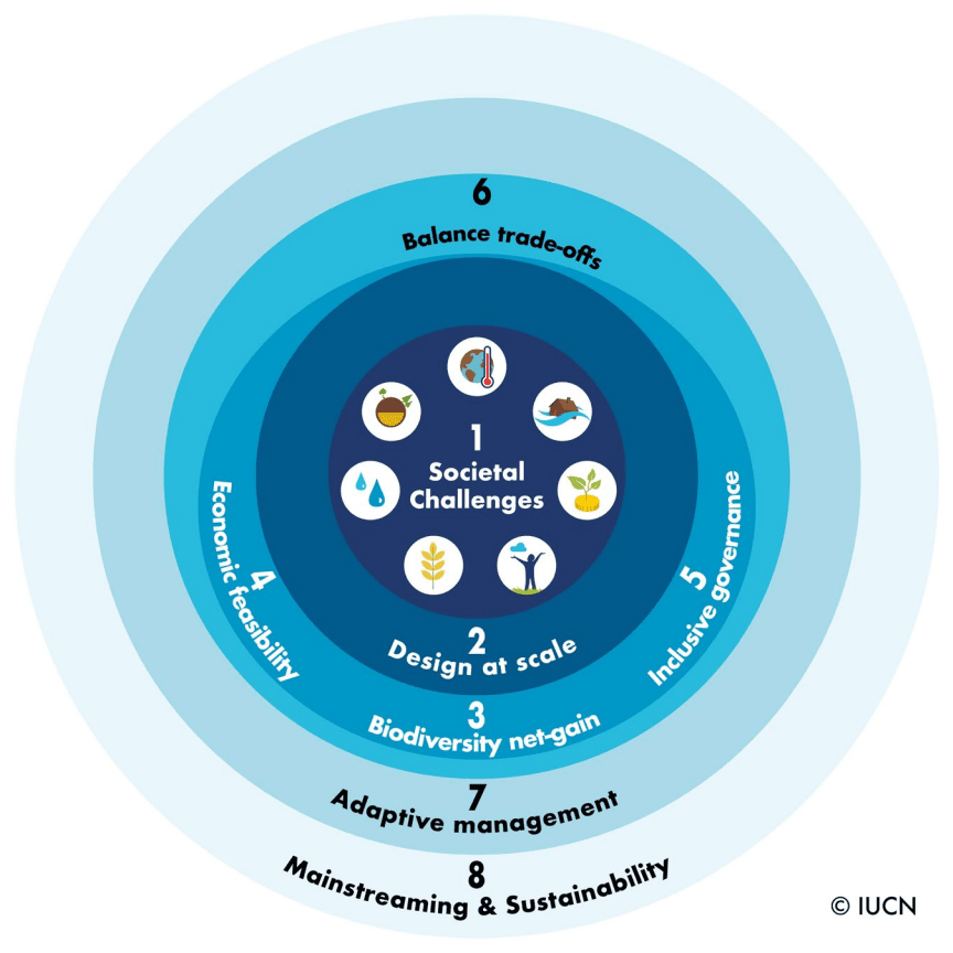 Global Standard for Nature-based Solutions