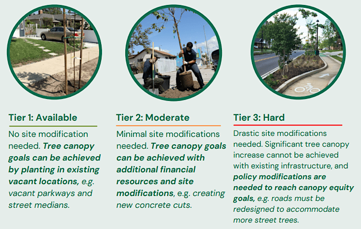 Heat: How to expand your city’s tree canopy cover