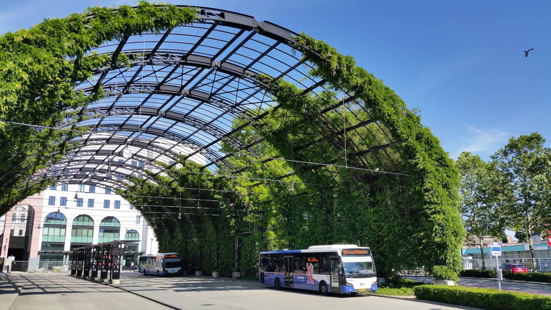 Heat: How to expand your city’s tree canopy cover