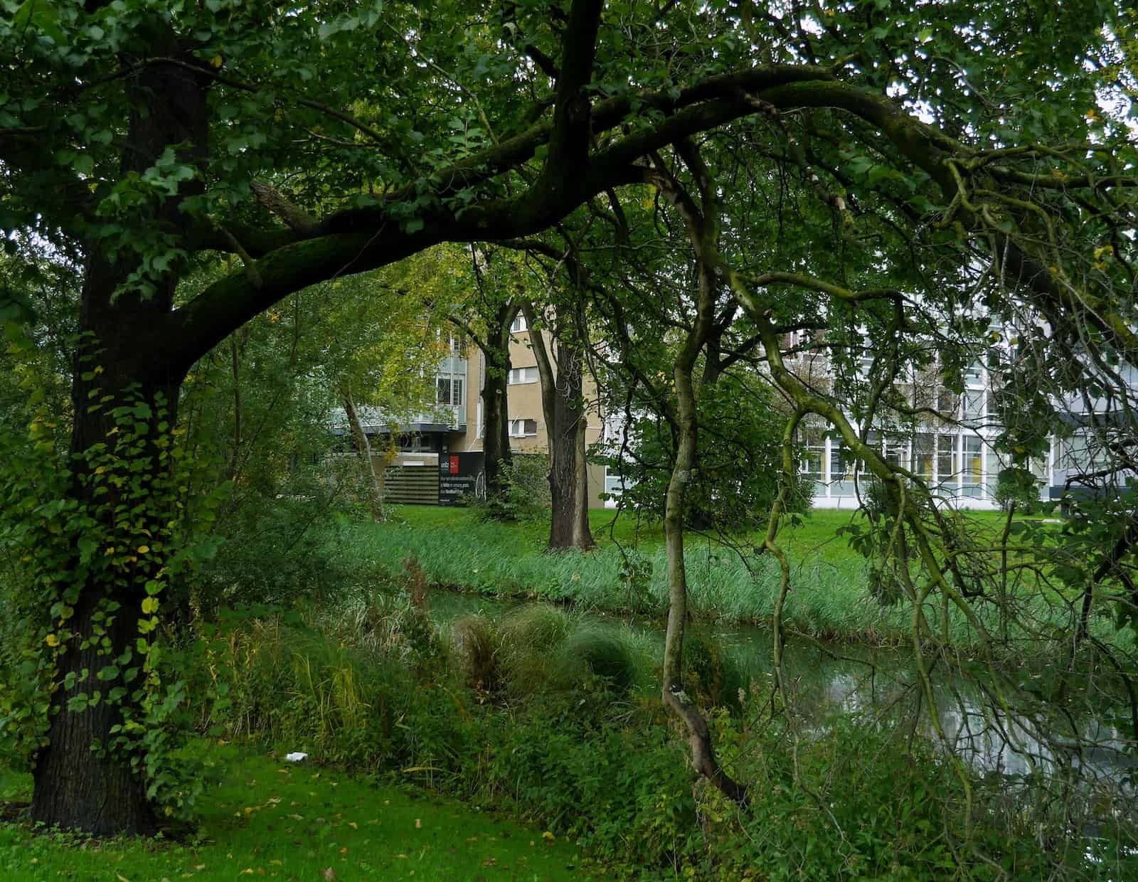 C40 Knowledge Community