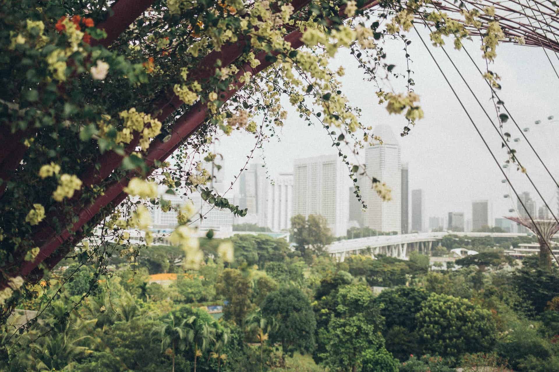 State of finance for nature in cities 2024