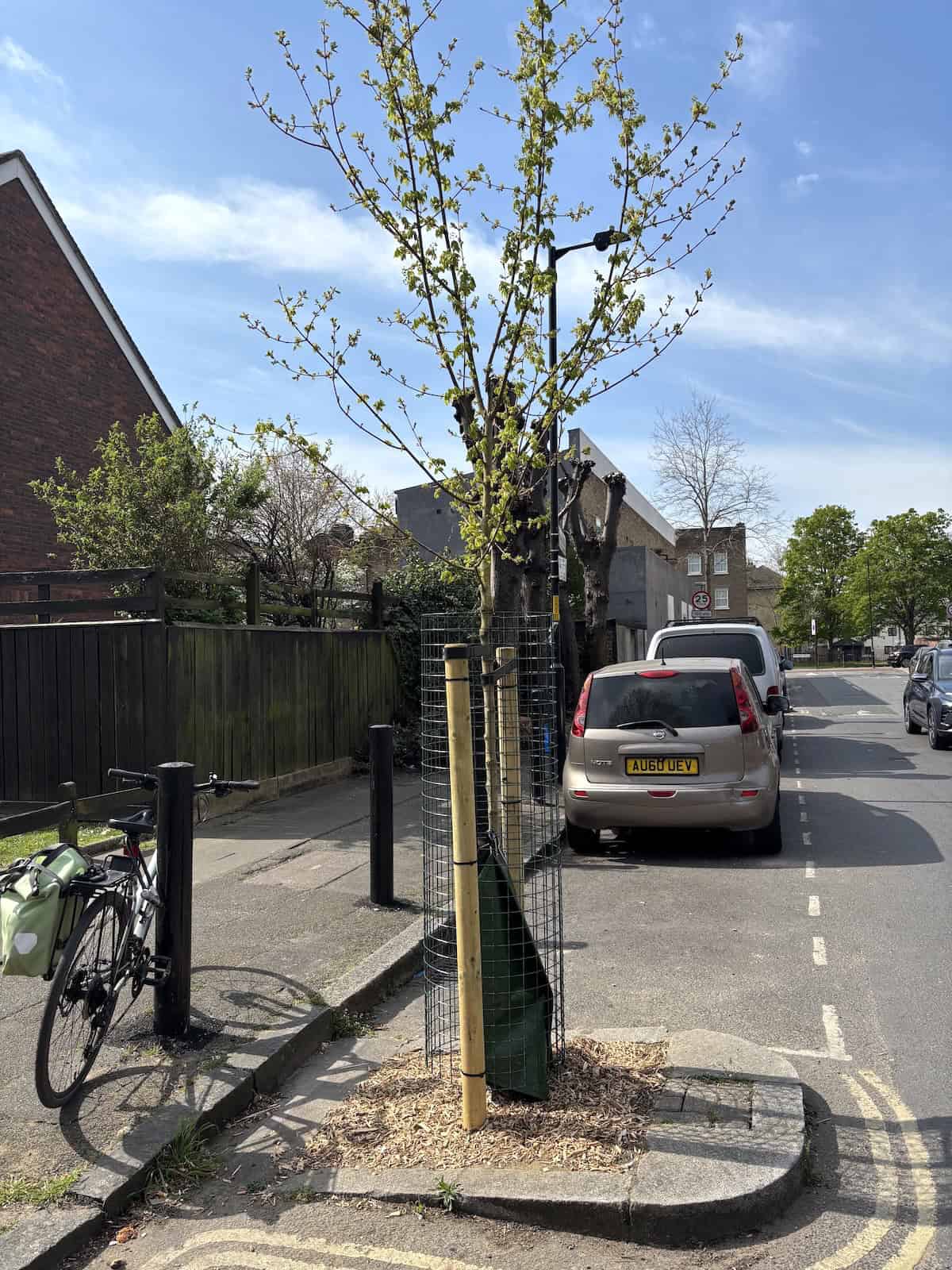 Heat: How to expand your city’s tree canopy cover